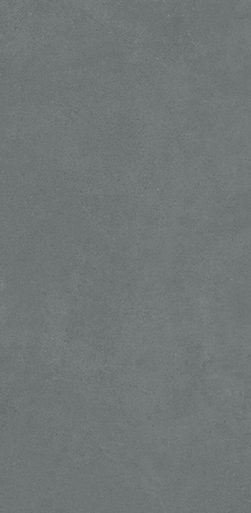 Azuma Dg 12" x 24" - Maxi Flooring & Bath