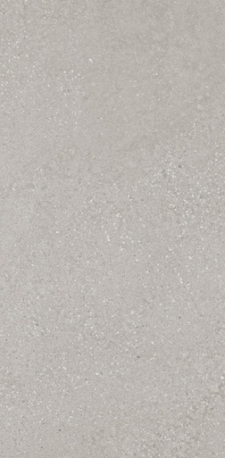 Phase Grey 24" x 48" - Maxi Flooring & Bath