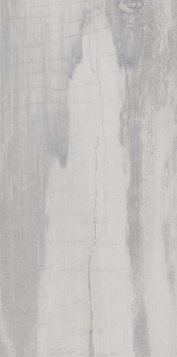 Fossil Pearl 12" x 24" - Maxi Flooring & Bath