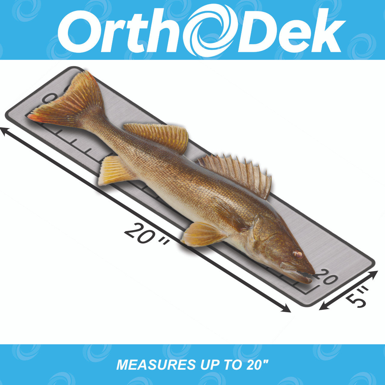 OrthoDek 20" EVA Foam Fish Rulers