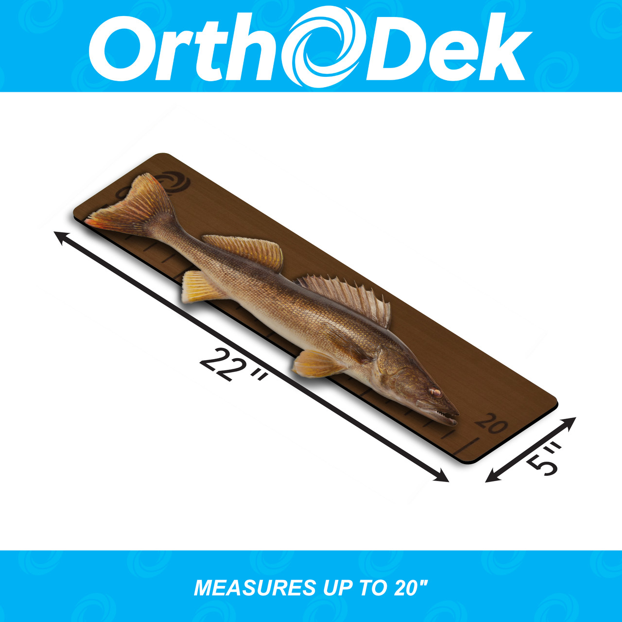 OrthoDek 20" Lasered Fish Rulers