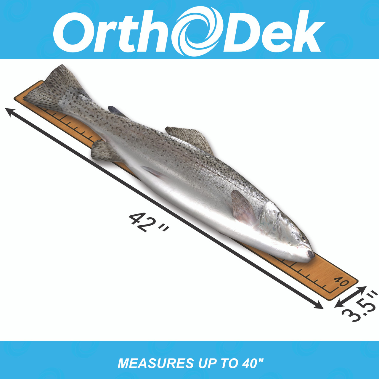 OrthoDek 40" EVA Foam Fish Rulers