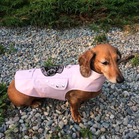 Dachshund Biker Dawg Motorcycle Jacket