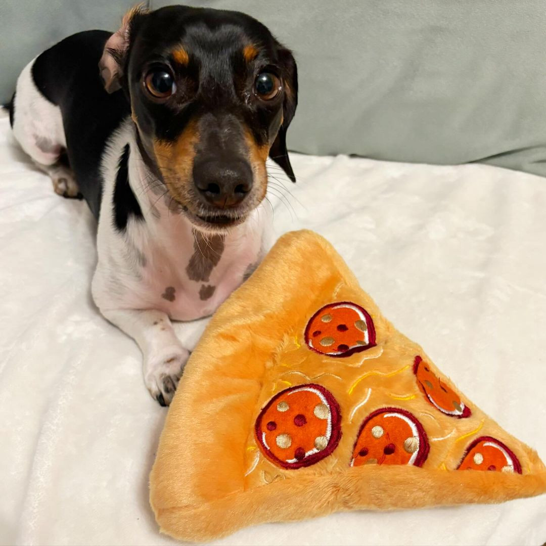 Slice O' Pizza - What's Up Dox