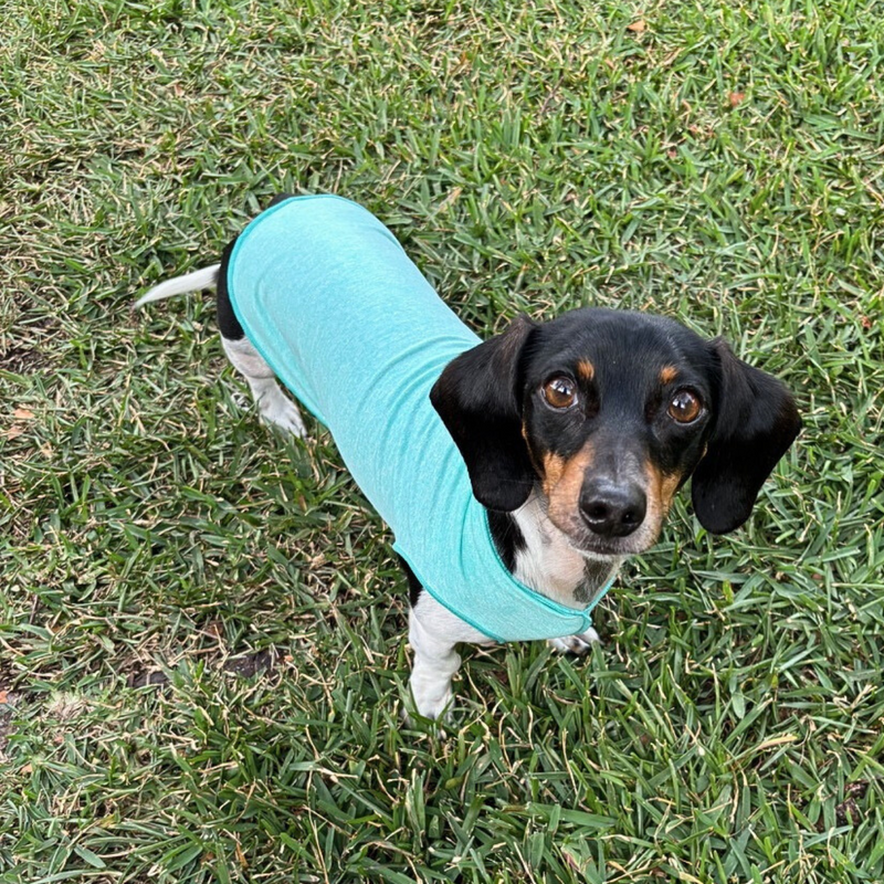 Sun Shield Dog Tees - What's Up Dox