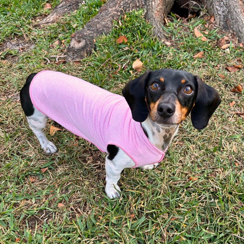 Sun Shield Dog Tees - What's Up Dox