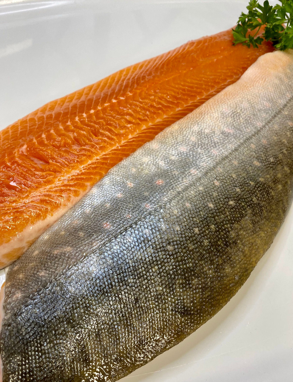 Arctic Char Fillet (lb) - The Market at River Falls