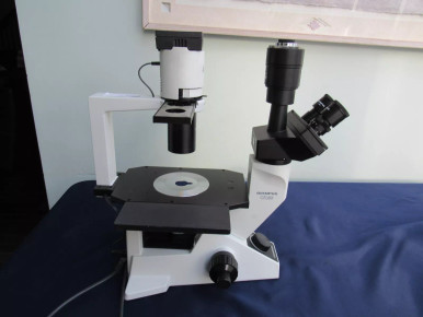 Olympus CK40 Inverted Fluorescence Phase Contrast Microscope EXCELLENT & working