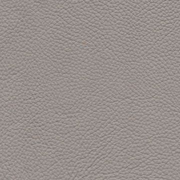 White Leather Swatch