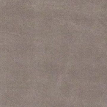 PLUSH COLOR #7 PUTTY Solid Color Velvet Upholstery Fabric