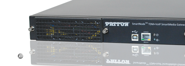 Patton SmartNode SmartMedia Gateway 12 E1/T1