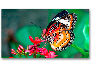 NEC 46 Inch Narrow Video Wall 700 Cd/M2 - UN462A