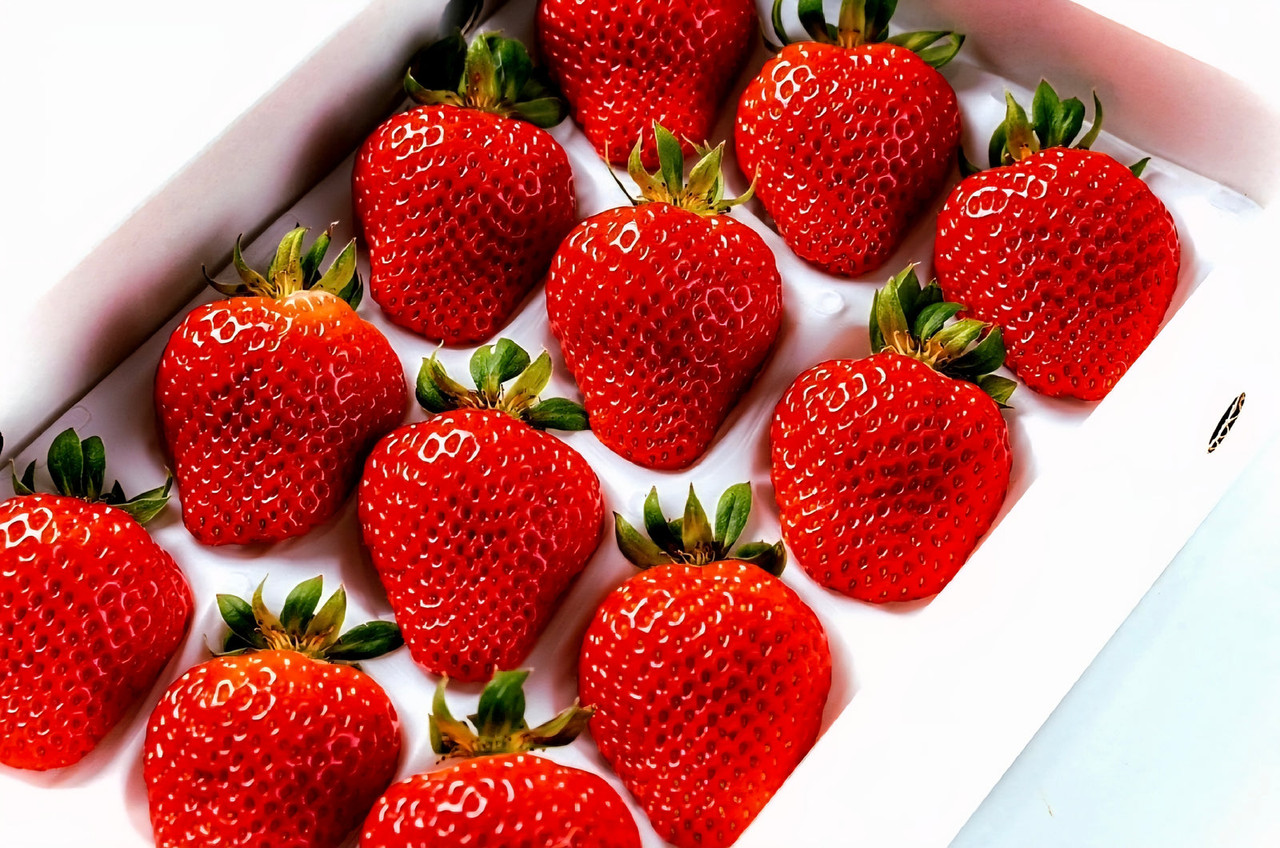 Berrylicious Specialty Japanese Strawberry Seeds - shopctn.com