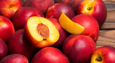 Prunus' Hardy Red Dwarf Nectarine Tree - shopctn.com