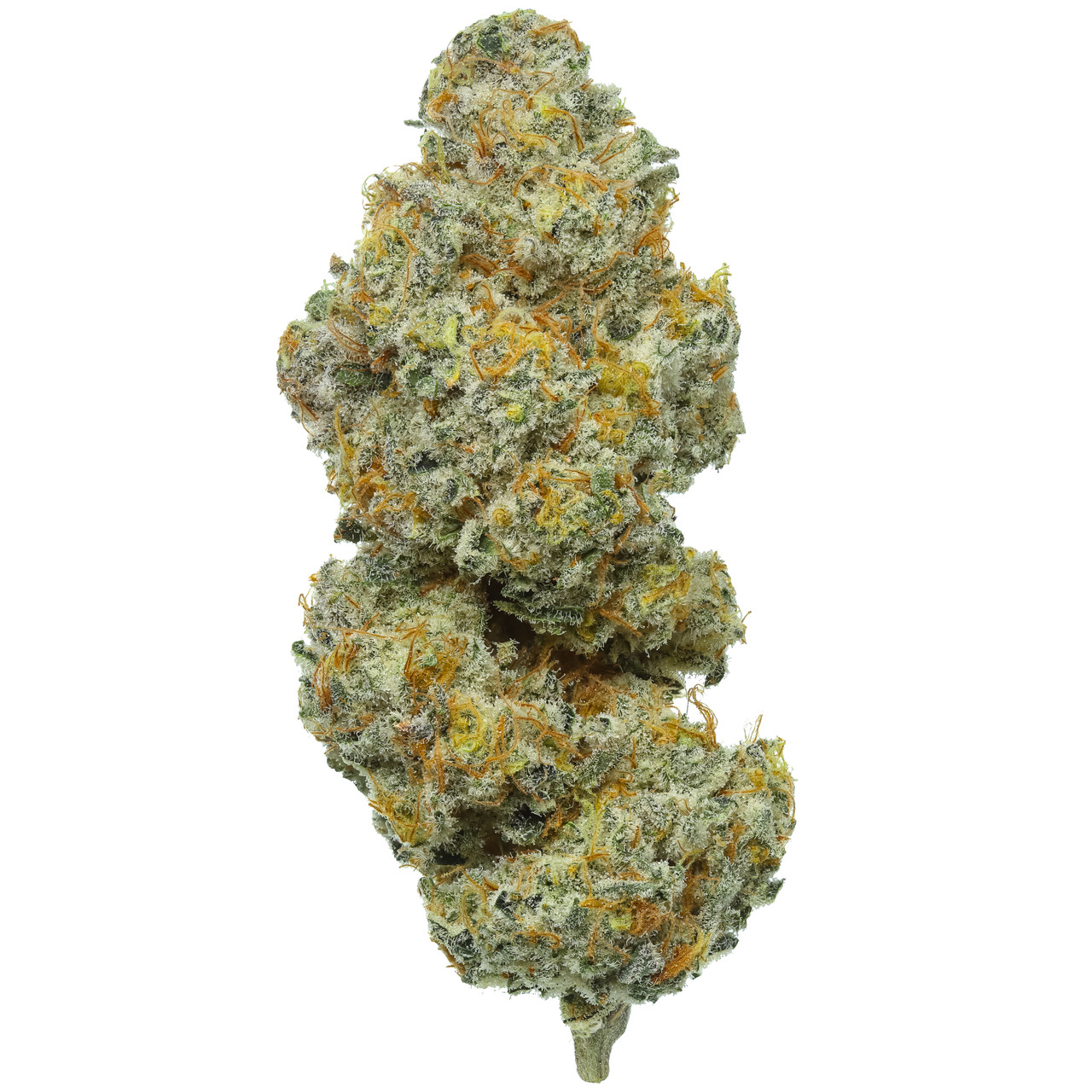 Products - Flower - Page 1 - Flow Gardens