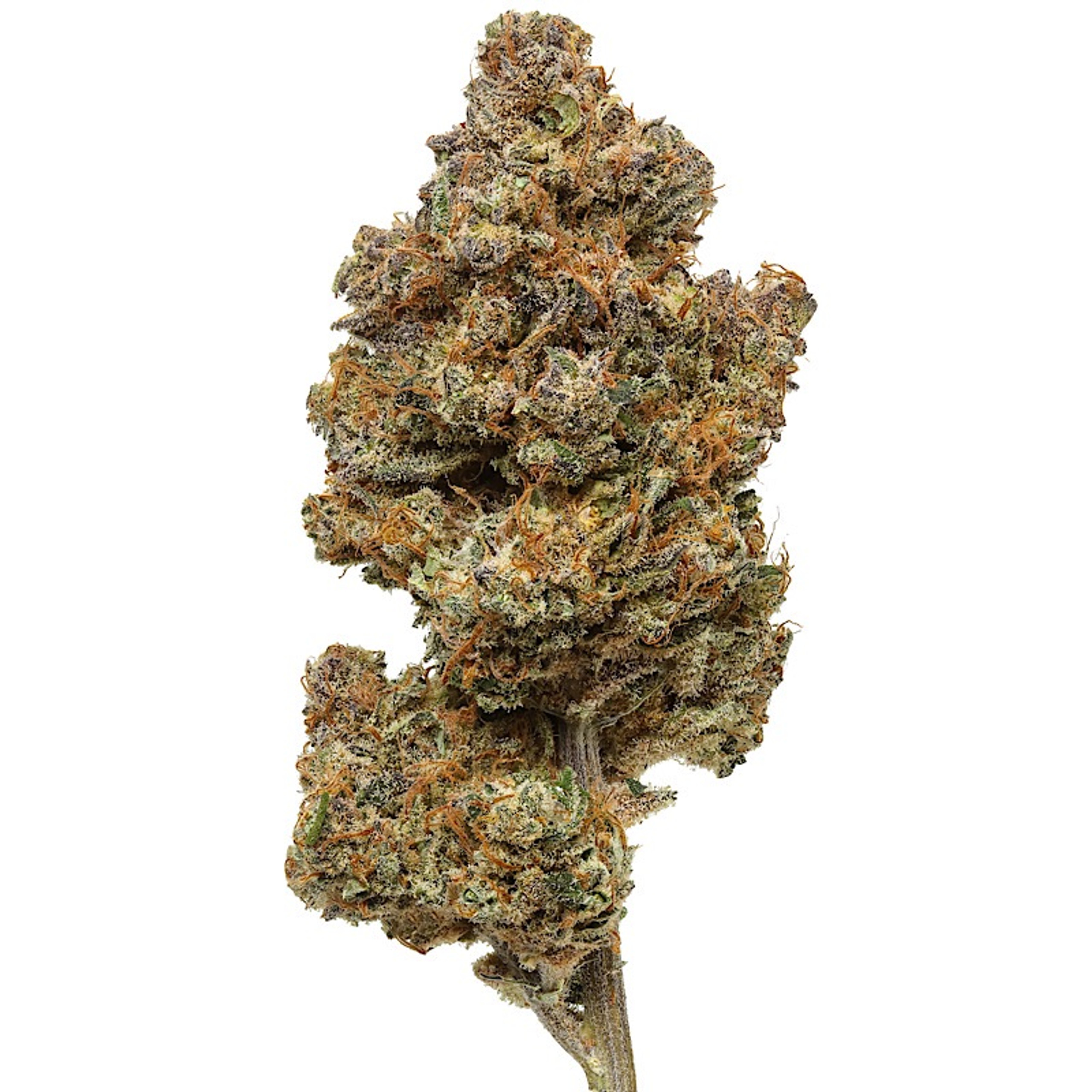 Products - Flower - Page 1 - Flow Gardens