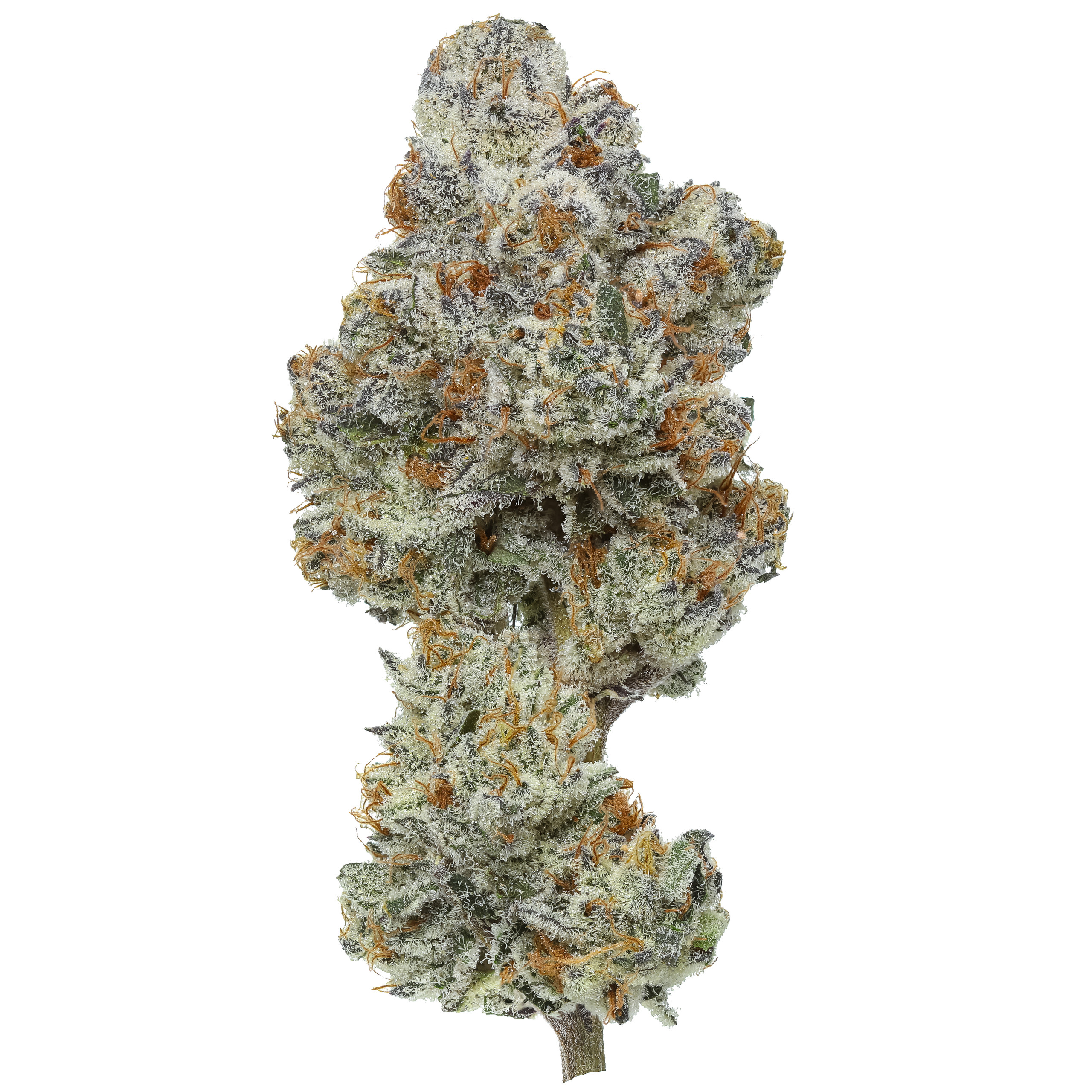 Products - Flower - Page 1 - Flow Gardens