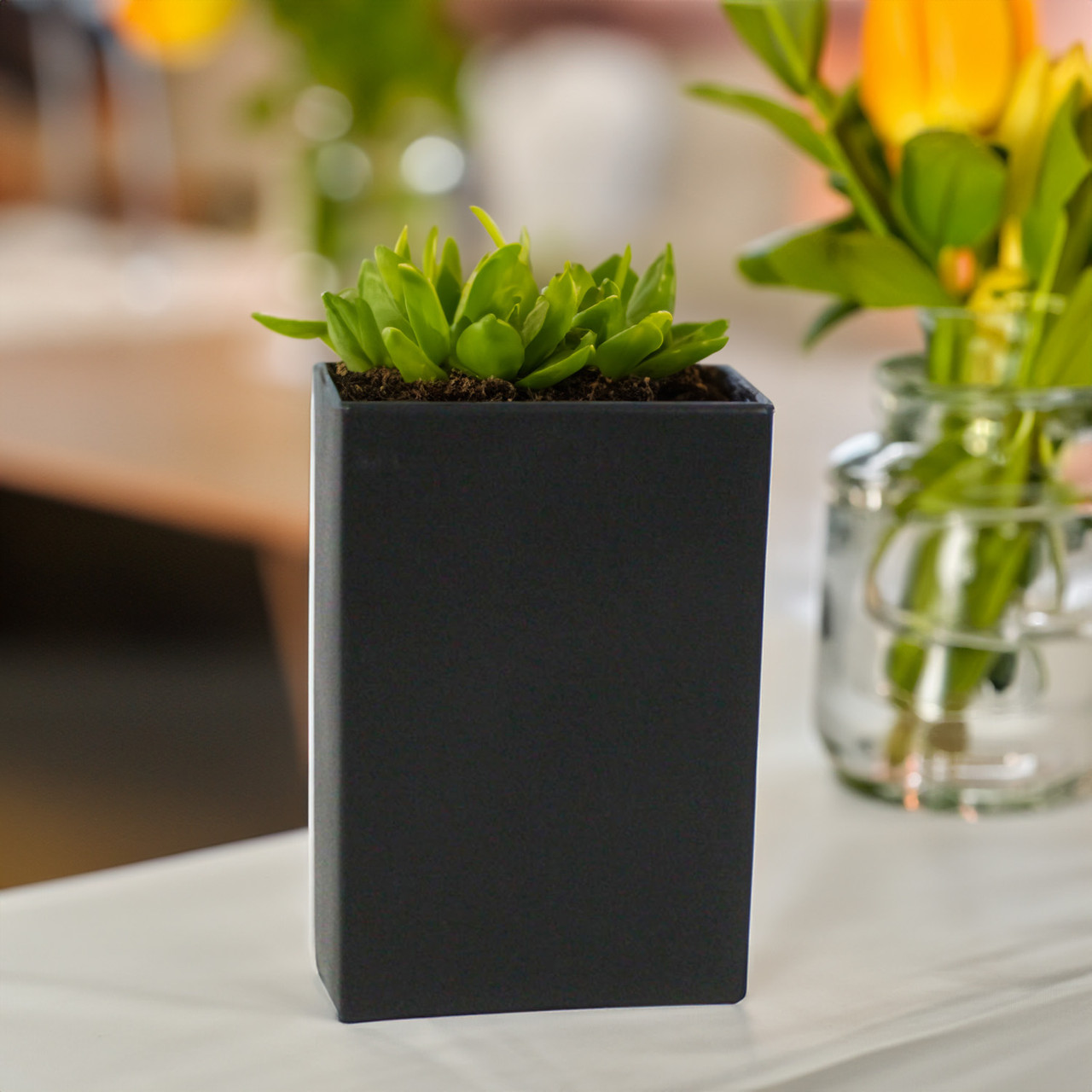 CBR8310WT - White Tall Flat Rectangle - 8"x2.5"x10", Case Pack: 6 pcs