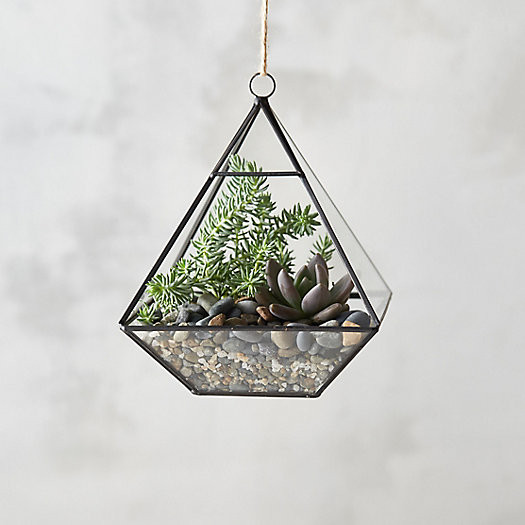GET0308BK - Black Raised Pyramid Geometric Glass Terrarium - 8"H