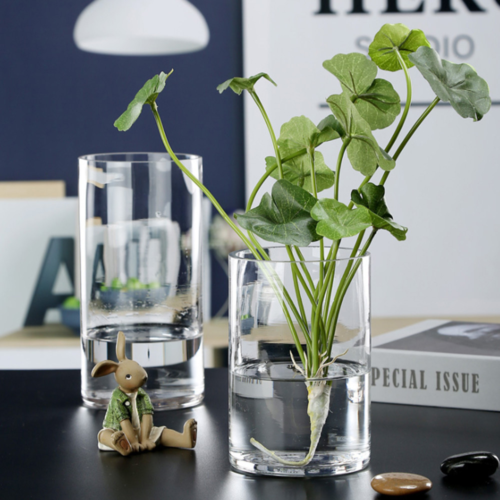 15x4"H Large Pan Wide Cylinder Glass Vase Wholesale - VCY1504 | WGV ...