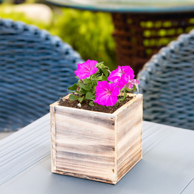 WCB0006WA - White Washed Wood Planter Box - 6"