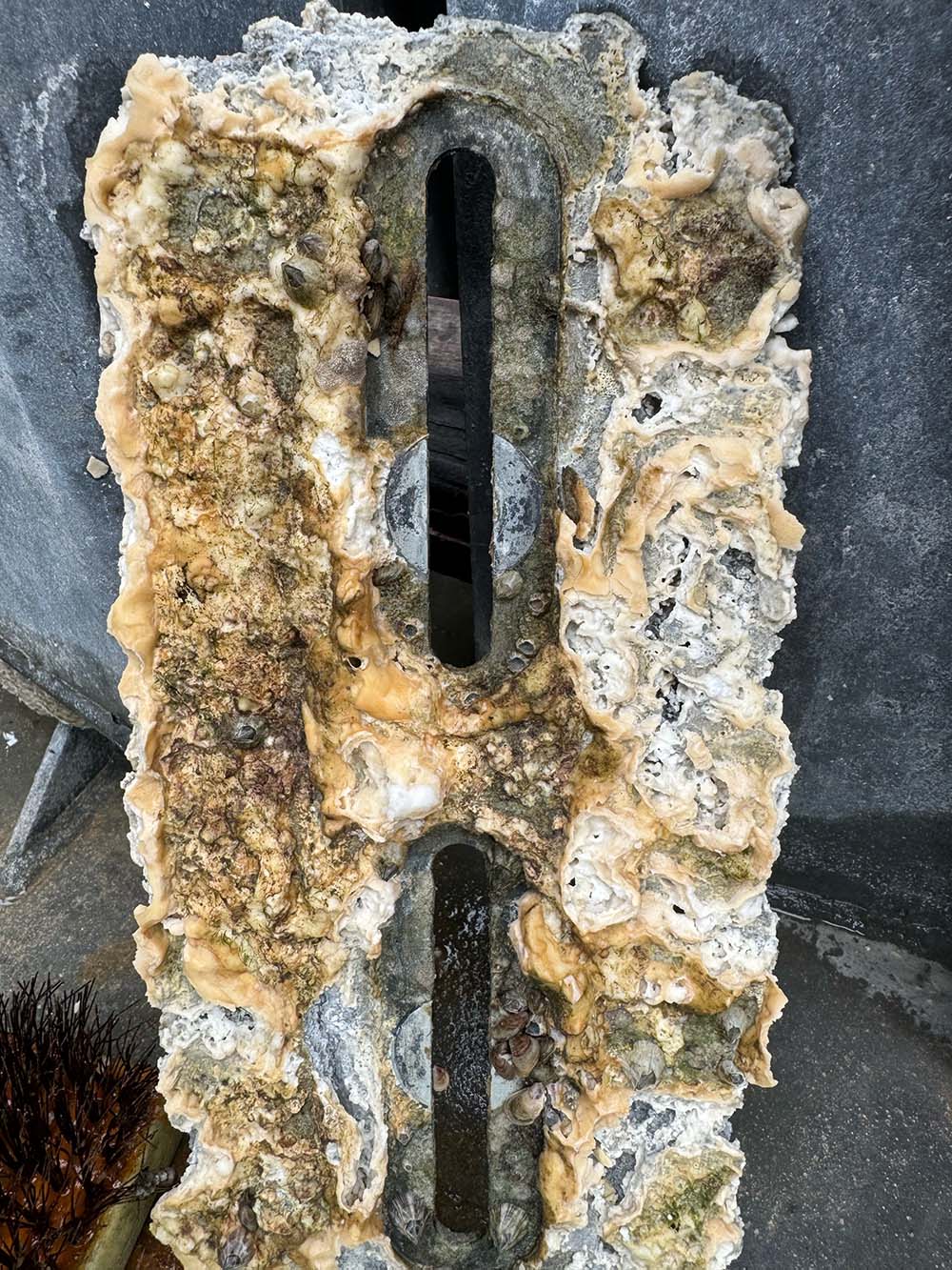 Case Study: "My Anode is Foaming!" - BoatZincs.com