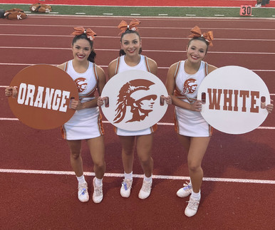 Circle Cheer Routine Signs - 1 - Stadium Visuals
