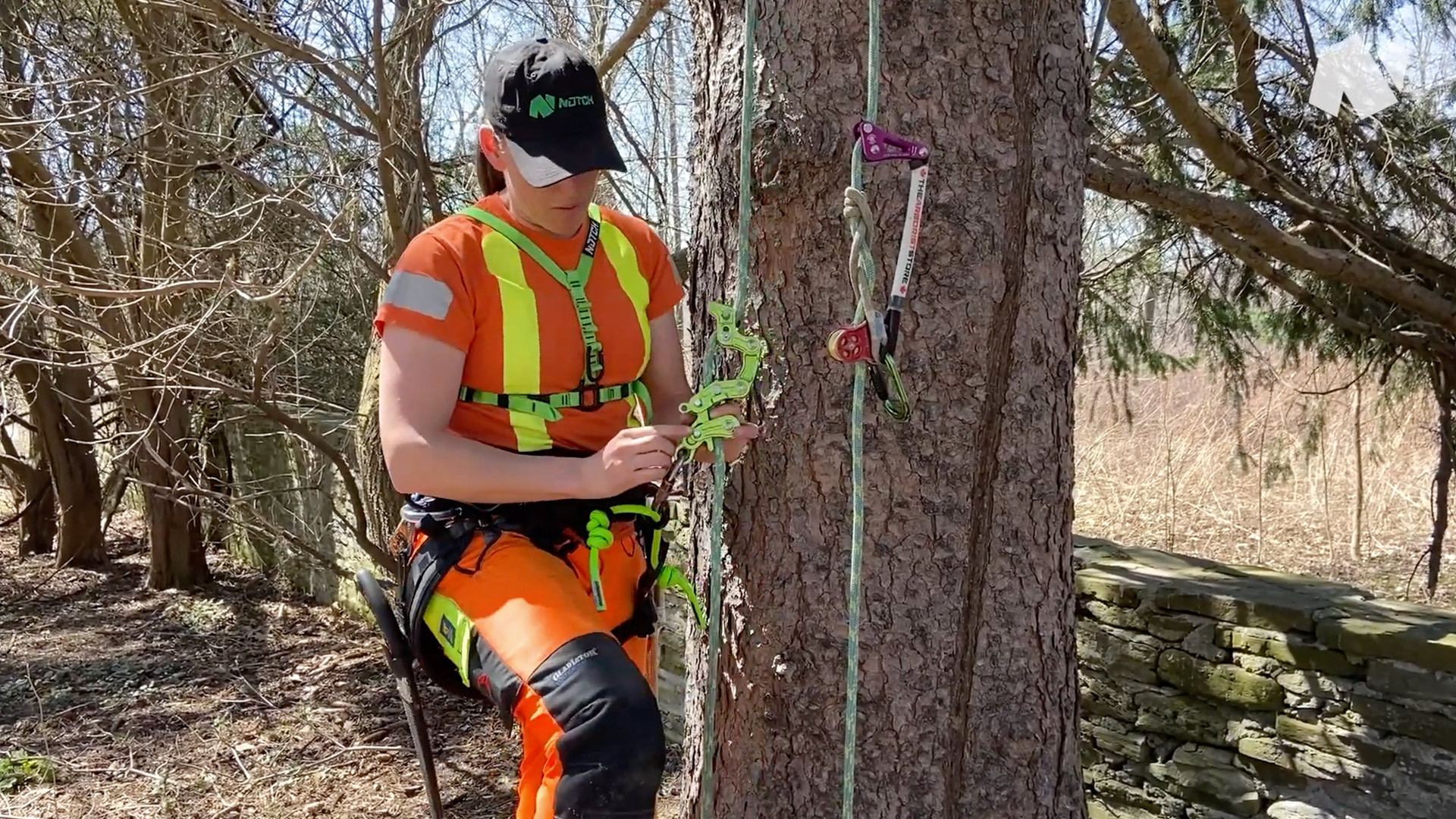 Rope Runner vs. Rope Runner Pro - Notch Equipment