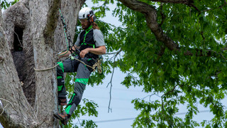 Adjusting and Wearing the Quick Connect Buckles on your Climbers ...