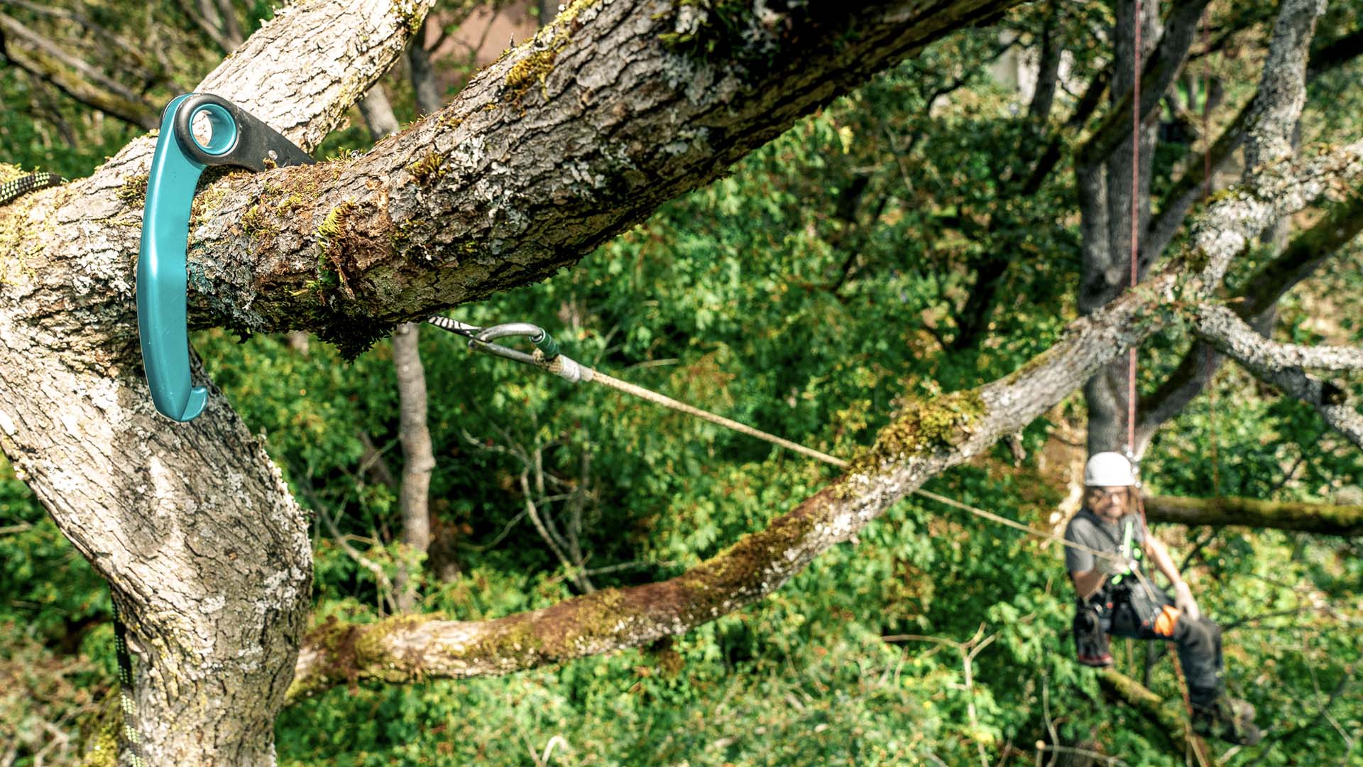 The RC Grapple Explained by Reg Coates - Notch Equipment