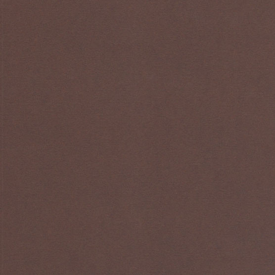 Colorplan Brown Paper, Cardstock, Envelopes & Pocket Invitations ...