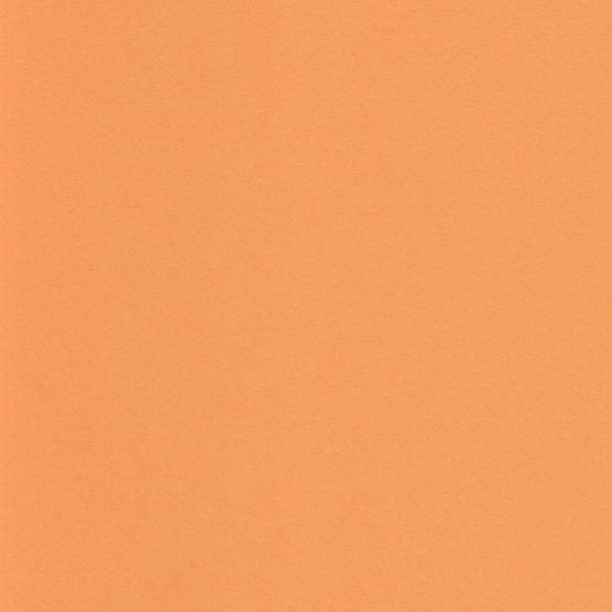 French Poptones Orange Fizz Paper, Cardstock, Envelopes & Pocket ...