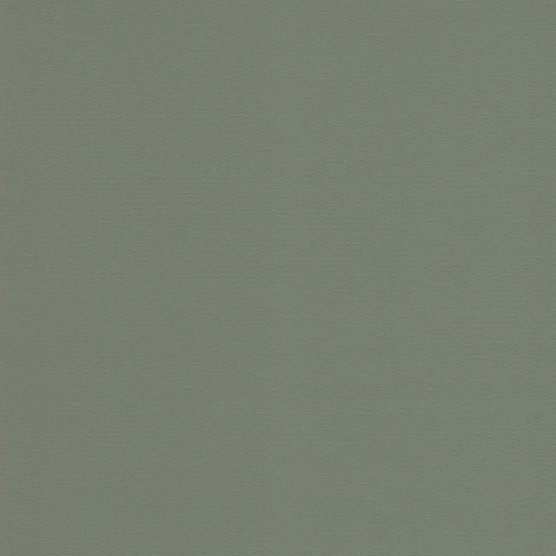 Colorplan Mid Green Paper, Cardstock, Envelopes & Pocket Invitations ...