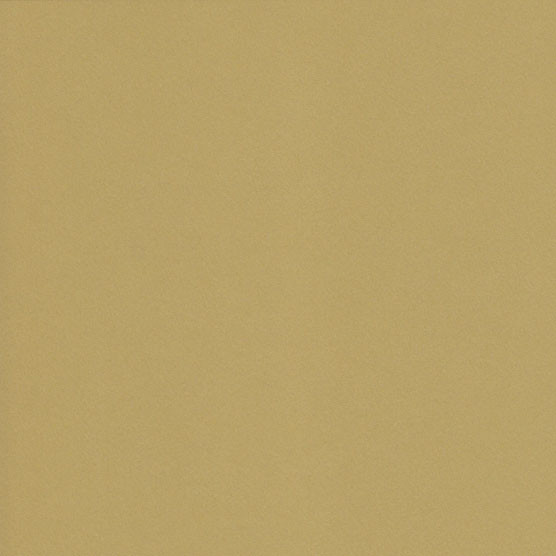 Curious Olive Paper, Cardstock, Envelope Liners & Pocket Invitations ...