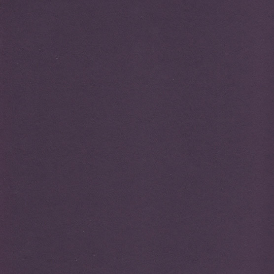 Colorplan Amethyst Paper, Cardstock, Envelopes & Pocket Invitations ...