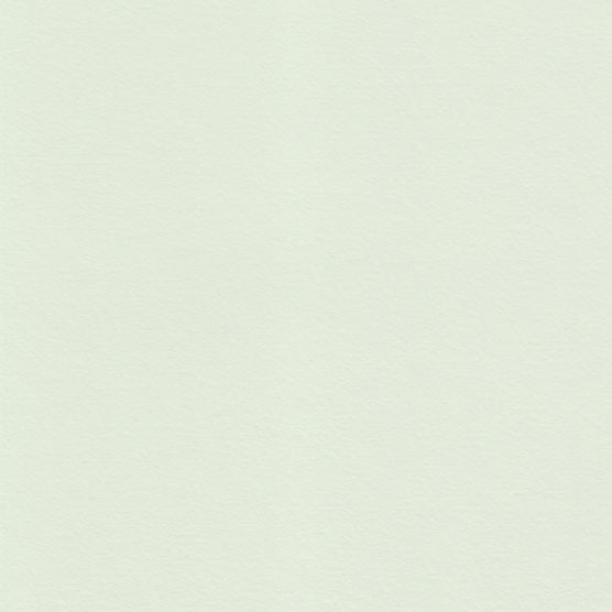 Colorplan Pistachio Paper, Cardstock, Envelopes & Pocket Invitations ...