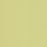Curious Key Lime Paper, Cardstock, Envelope Liners & Pocket Invitations ...