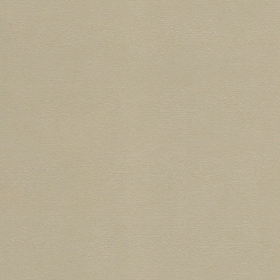 Curious Gold Leaf Paper, Cardstock, Envelopes & Pocket Invitations ...