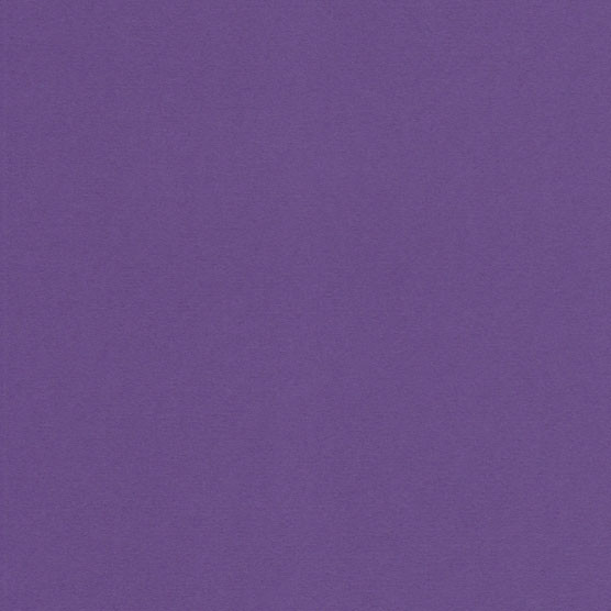 Colorplan Purple Paper, Cardstock, Envelopes & Pocket Invitations ...