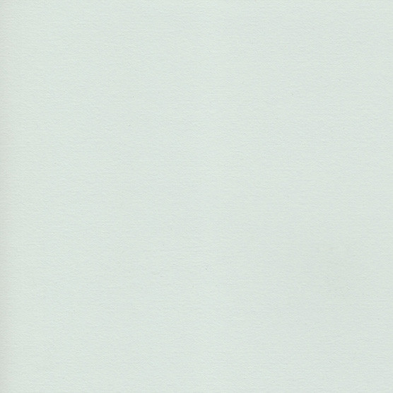 Colorplan Powder Green Paper, Cardstock, Envelopes & Pocket Invitations ...