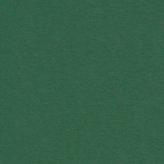 Colorplan Forest Paper, Cardstock, Envelopes & Pocket Invitations ...