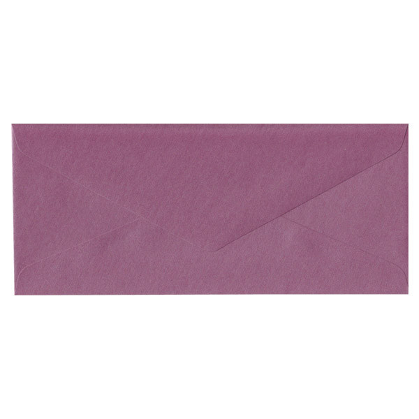 No.10 Euro Flap Punch Envelope - Cards & Pockets