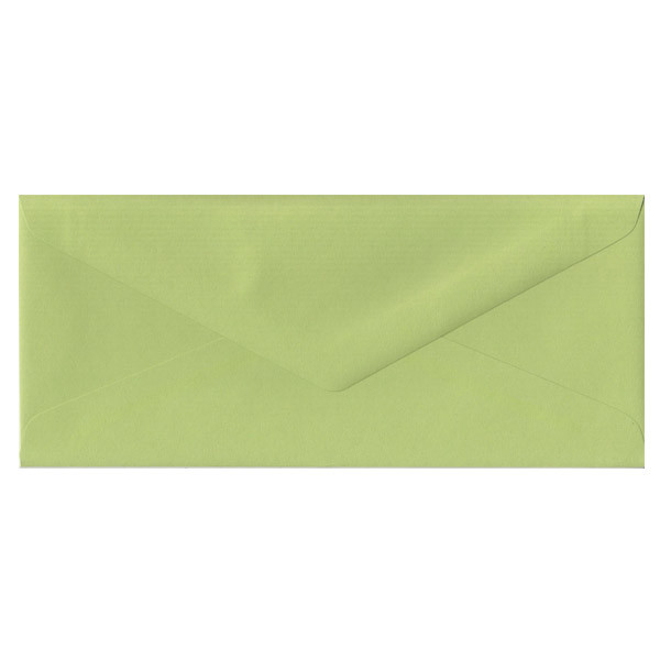 No.10 Euro Flap Sour Apple Envelope - Cards & Pockets
