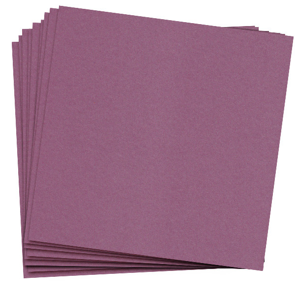 12 x 12 Cover Weight Punch - Cards & Pockets
