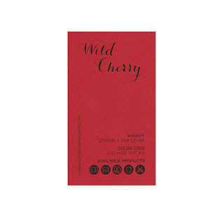Wild Cherry Swatch - Cards & Pockets