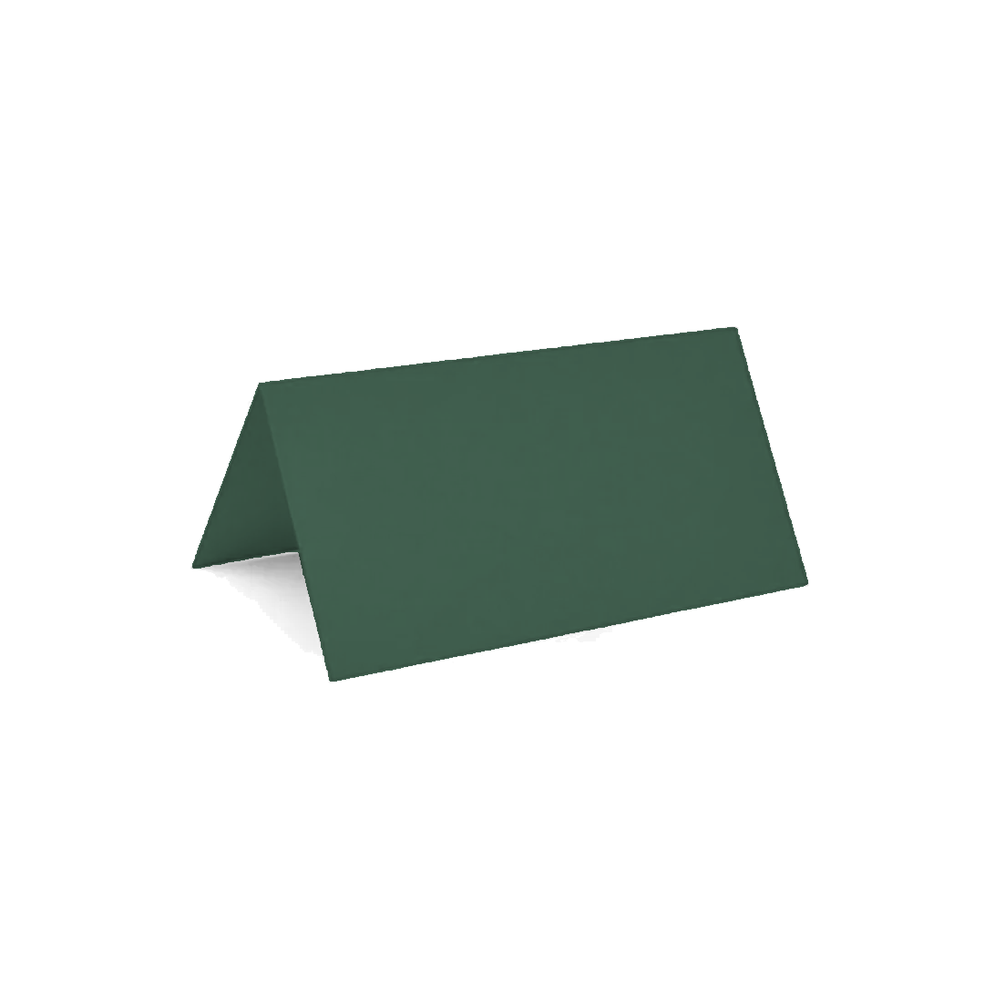 2 x 4 Folded Cards Fern - Cards & Pockets