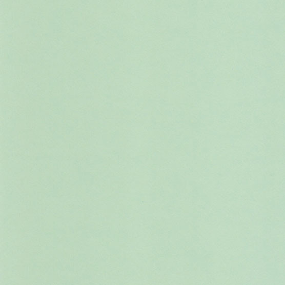 French Poptones Spearmint Paper, Cardstock, Envelopes & Pocket ...