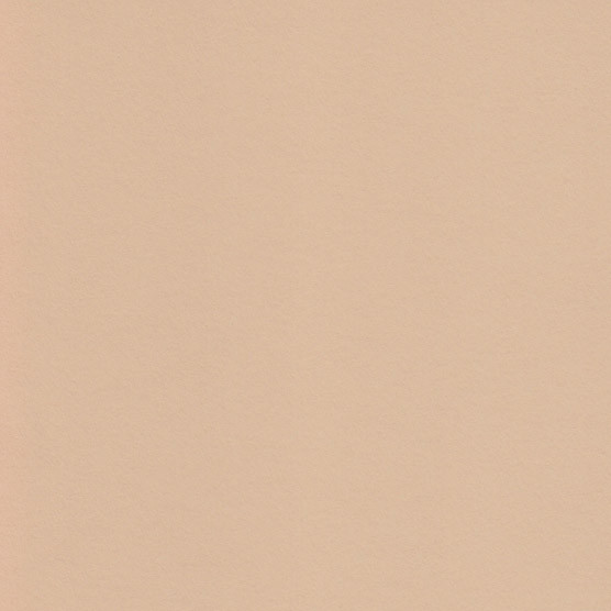 Colorplan Stone Paper, Cardstock, Envelopes & Pocket Invitations ...