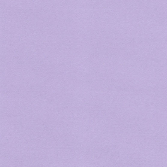 Colorplan Lavender Paper, Cardstock, Envelopes & Pocket Invitations ...