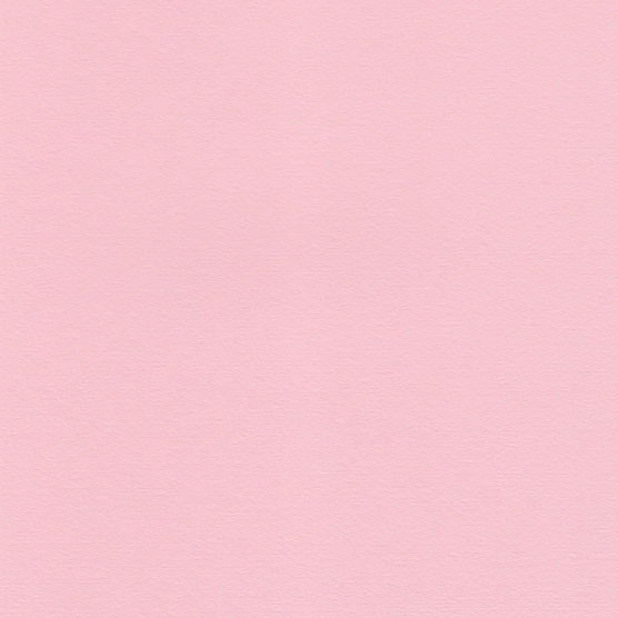 Colorplan Candy Pink Paper, Cardstock, Envelopes & Pocket Invitations ...